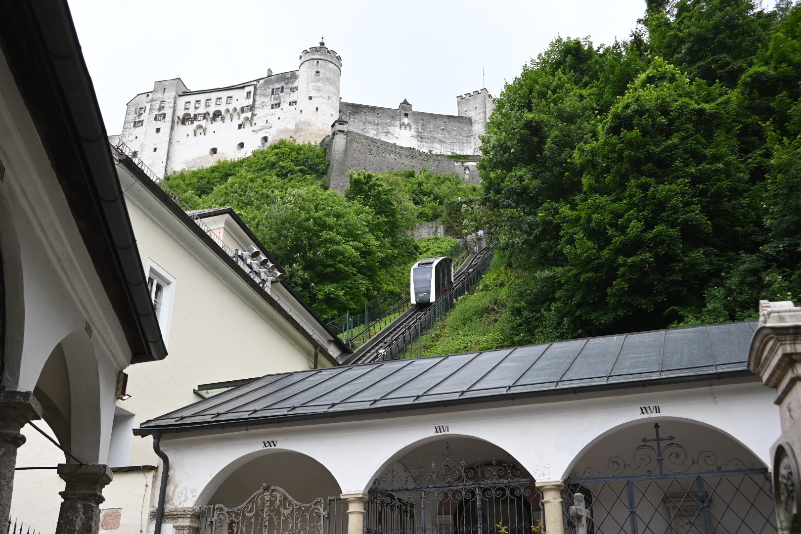 いつもの墓地: めぎのドイツ再発見
