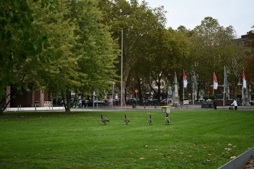 20年ぶりに訪れたかのような錯覚: めぎのドイツ再発見