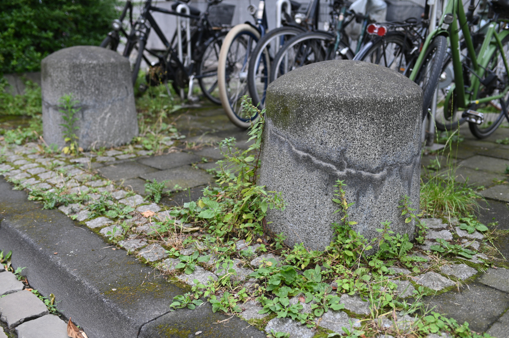 近所の住宅街の散歩（フルサイズ＋35㎜F1.8を持って）: めぎのドイツ再発見